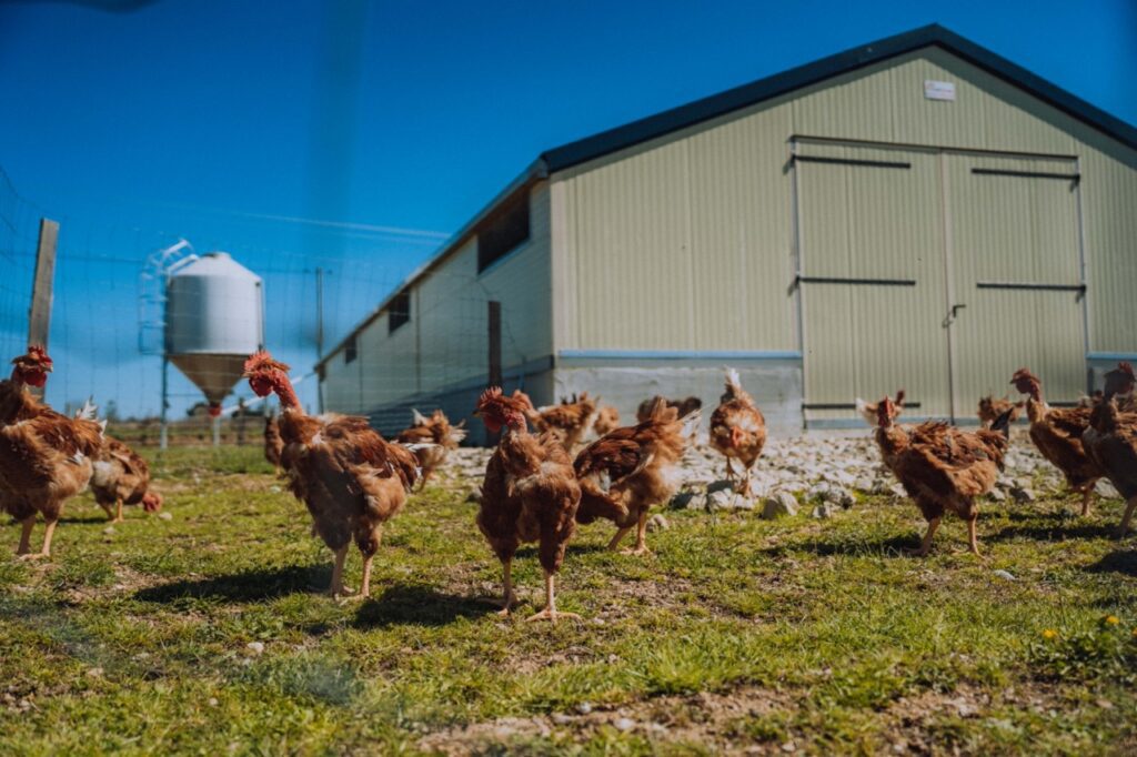 Cabi Group | Le matériel agricole fait par et pour les agriculteurs